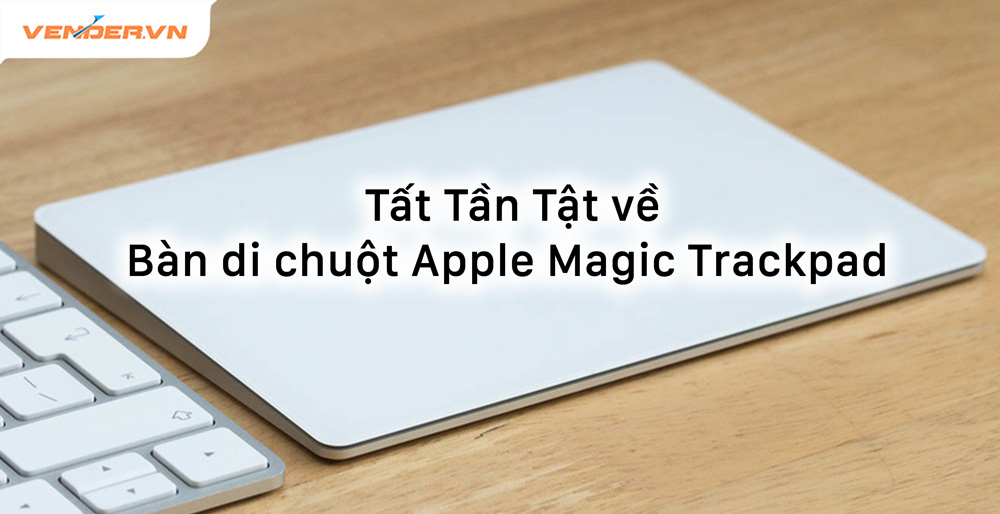 Sự khác biệt giữa Magic Trackpad 3 vs Magic Trackpad 2021 và Trackpad ...