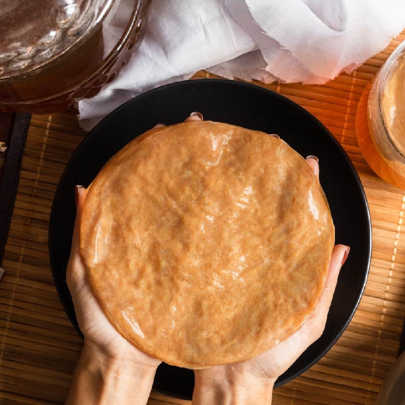 Nấm scoby Kombucha được tạo ra như thế nào – Trà thủy sâm Komboo