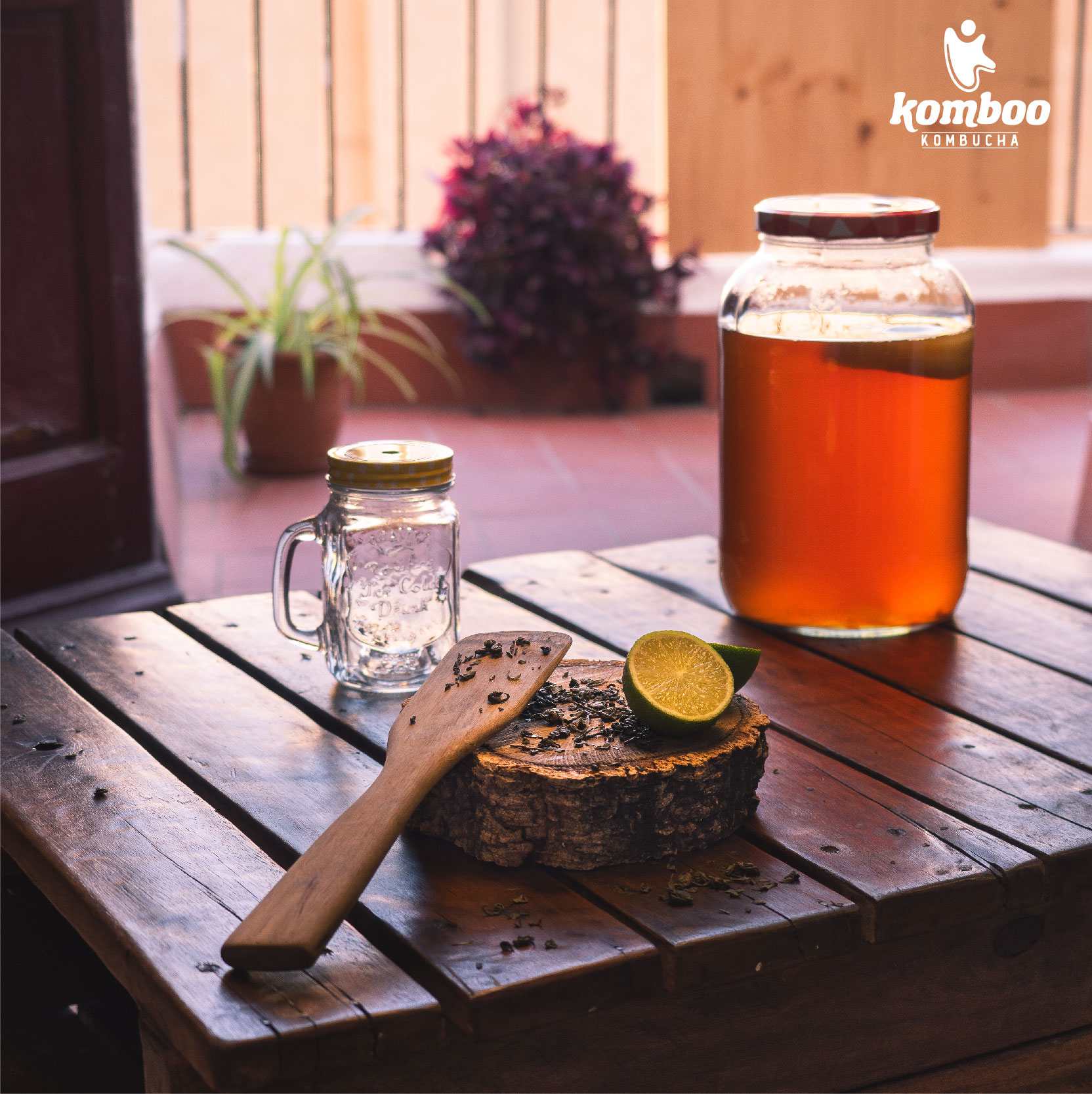 Nguồn gốc tạo ra con Scoby Kombucha – Trà thủy sâm Komboo