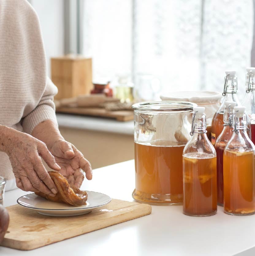 Scoby bị hư - Những rủi ro khi làm kombucha bạn cần biết – Trà thủy sâm ...