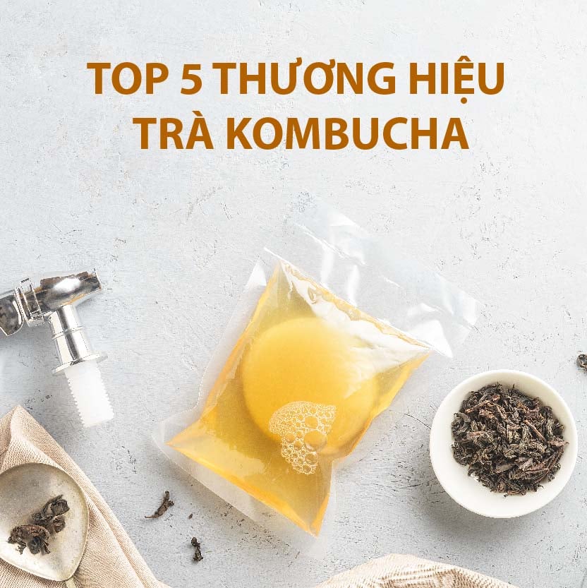 Top 5 thương hiệu trà thủy sâm Kombucha đóng chai tốt nhất hiện nay ...