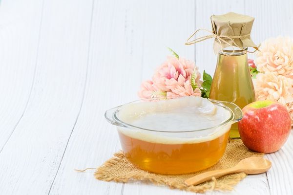 Scoby bị hư - Những rủi ro khi làm kombucha bạn cần biết – Trà thủy sâm ...