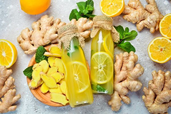 Kombucha mix trái cây nào ngon nhất – Trà thủy sâm Komboo