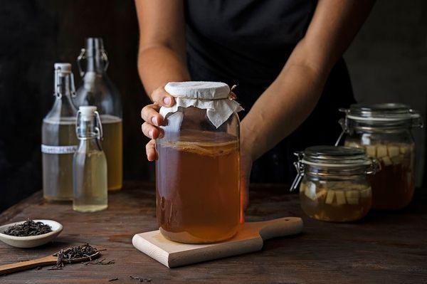 Nấm scoby Kombucha được tạo ra như thế nào – Trà thủy sâm Komboo