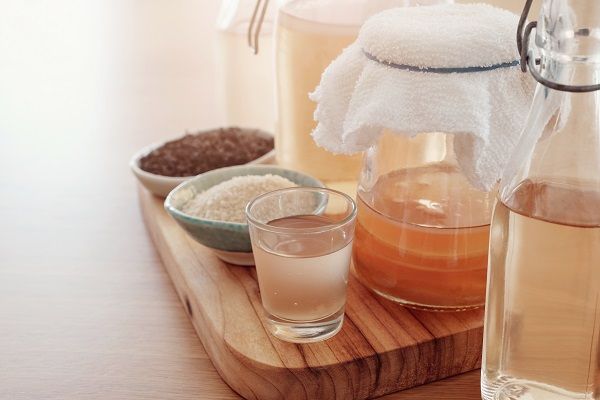 Kombucha Scoby – Con Giấm Kombucha – Trà thủy sâm Komboo