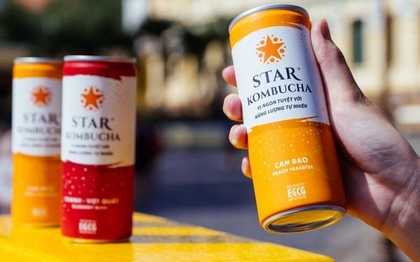 Top 5 thương hiệu trà thủy sâm Kombucha đóng chai tốt nhất hiện nay ...