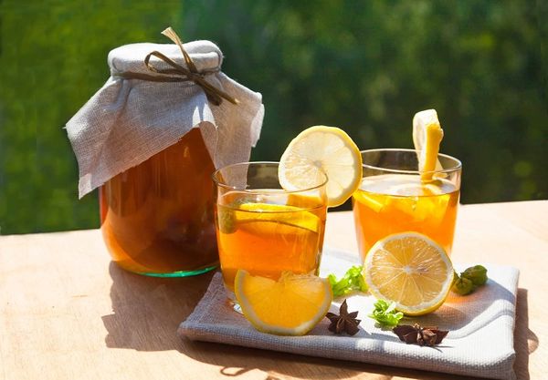 Cách nuôi Scoby trong trà Kombucha đảm bảo lên men – Trà thủy sâm Komboo