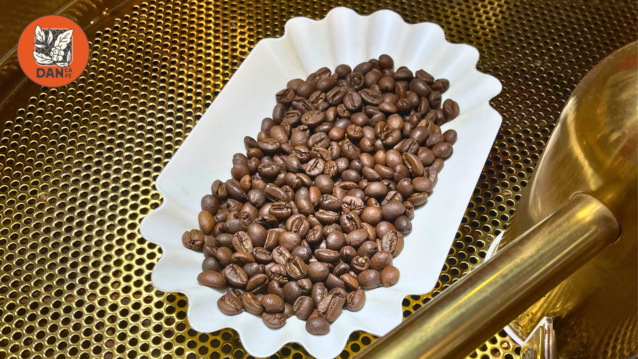 Cách Bảo Quản Cà Phê Hạt và Cà Phê Bột Đúng Cách - Bí Quyết Từ DanCafe – Dancafe