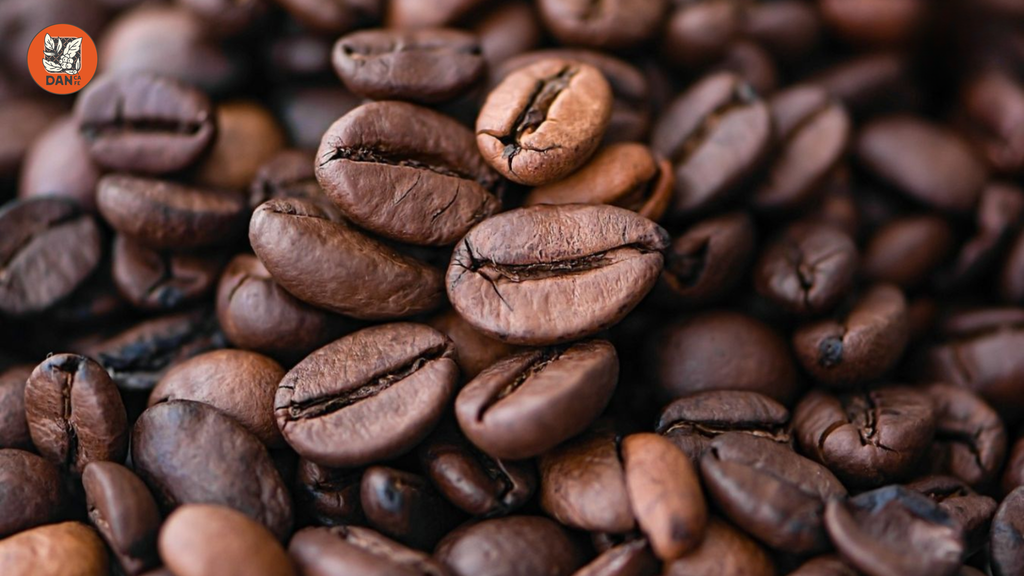 Khám Phá Các Hương Vị Của Từng Loại Cà Phê - DanCafe – Dancafe