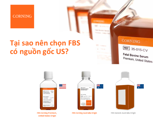 Viet Anh Scientific – Công ty TNHH Thiết bị Khoa học Việt Anh
