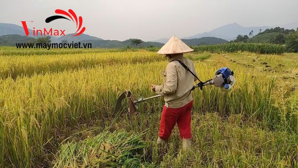 Hướng dẫn chi tiết chế máy cắt lúa bằng máy cắt cỏ đơn giản nhất ...