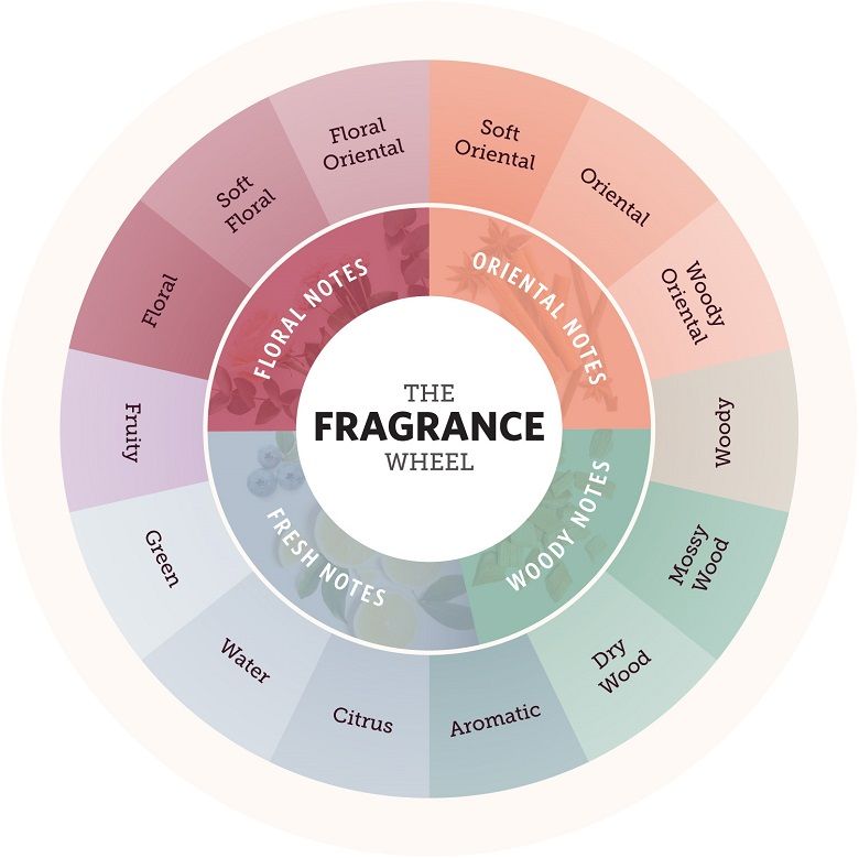 T m Hi u V B nh Xe M i H ng Fragrance Wheel Morra Vi t Nam