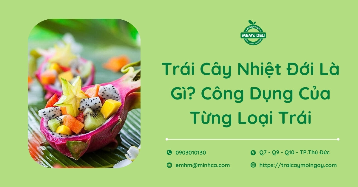 Trái Cây Nhiệt Đới Là Gì? Công Dụng Của Từng Loại Trái – Trái cây mỗi ...