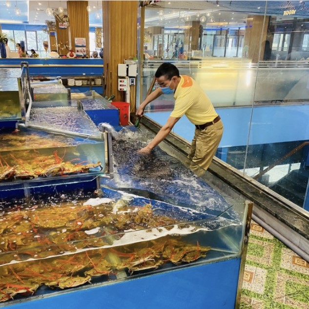 Top các nhà hàng hải sản được yêu thích bậc nhất tại Hải Phòng