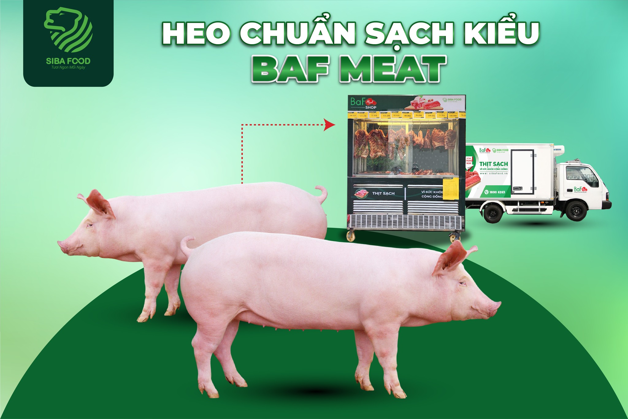 Hn.SibaFood.Vn – Siba Food Hà Nội