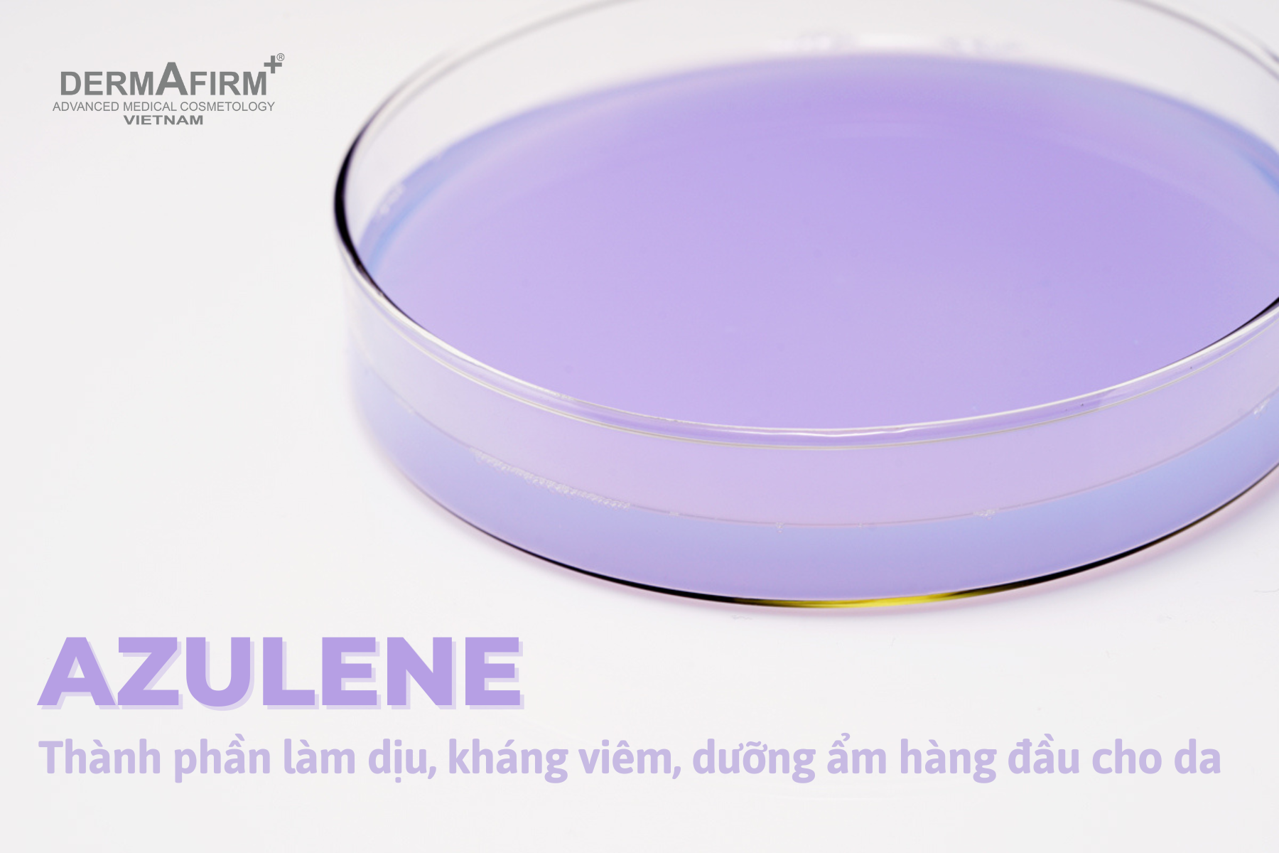 VỀ AZULENE - THÀNH PHẦN LÀM DỊU, DƯỠNG ẨM & KHÁNG VIÊM HÀNG ĐẦU TRONG ...