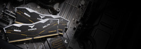 Ram DDR5 32GB/5600MHz TeamGroup T-Force Delta Tuf RGB LIMITED EDITION ...