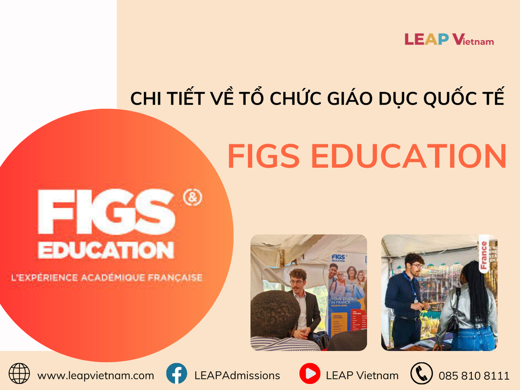 Chi tiết về tổ chức giáo dục quốc tế Figs Education – Quy trình hỗ trợ ...