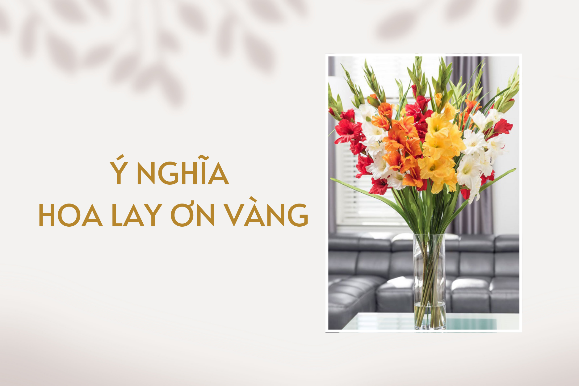 Ý Nghĩa Hoa Lay Ơn Vàng & Mẫu Hoa Cắm Đẹp, Mới Nhất 2025 – Flosa