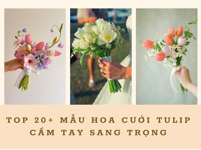 Hoa Cưới Tulip: 10 + Mẫu Hoa Cưới Cầm Tay Đẹp Nhất 2025 – Flosa