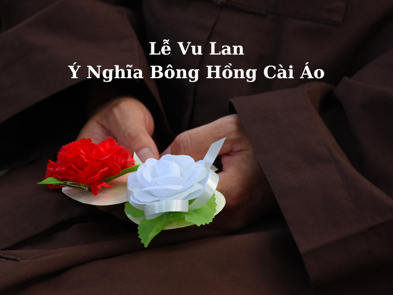 Ý Nghĩa Bông Hồng Cài Áo Ngày Lễ Vu Lan – Flosa