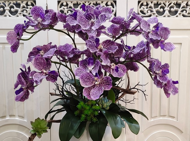 Hoa lan Vanda: Đặc điểm, cách trồng & chăm sóc đơn giản chi tiết – Flosa