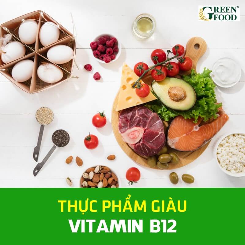 Những thực phẩm chứa Vitamin B12 – Green Food