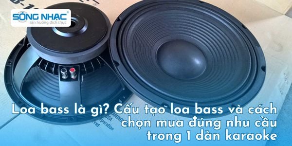 Loa bass là gì? Cấu tạo loa bass và cách chọn mua đúng nhu cầu trong 1 ...