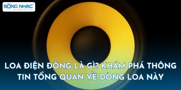 Loa điện động là gì? Khám phá thông tin tổng quan về dòng loa này – SÓNG NHẠC AUDIO