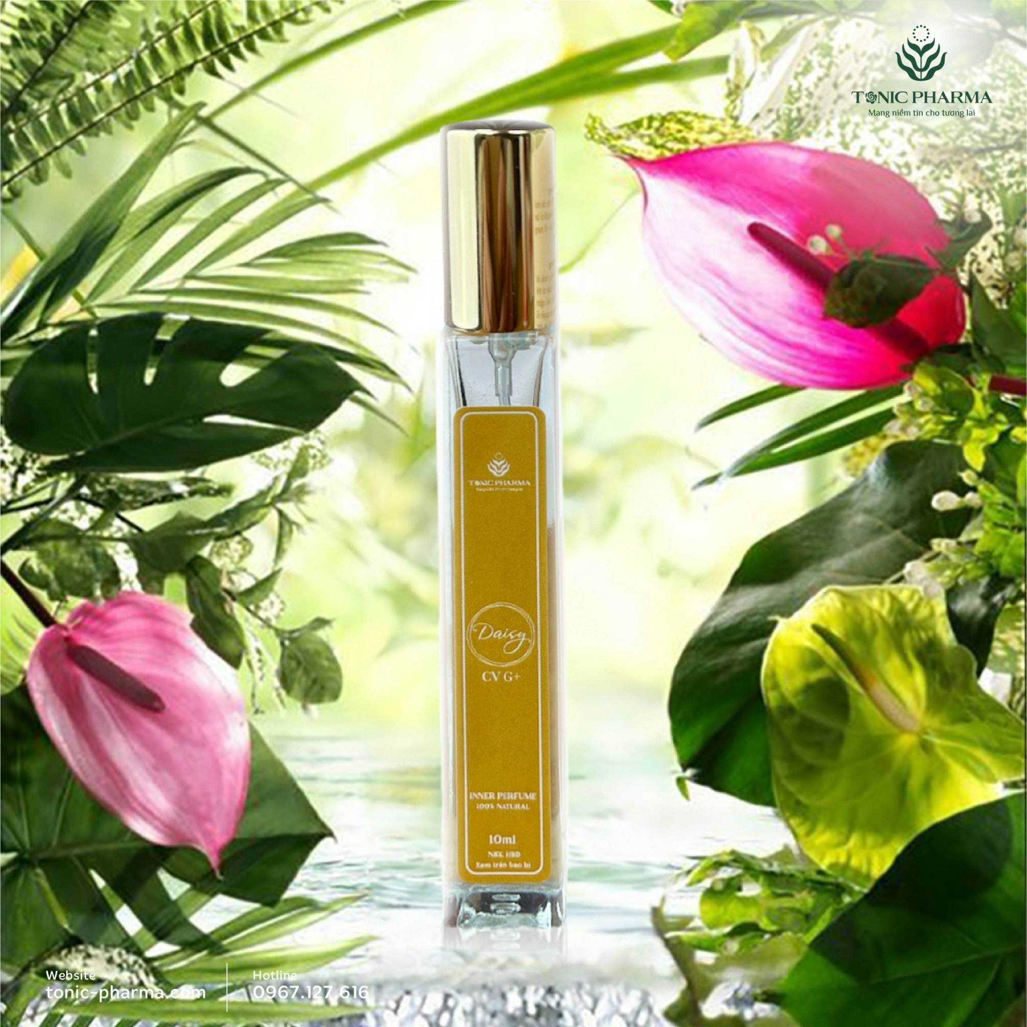 Nước hoa vùng kín Daisy CV G+: Công dụng nổi bật – Nét Hoa