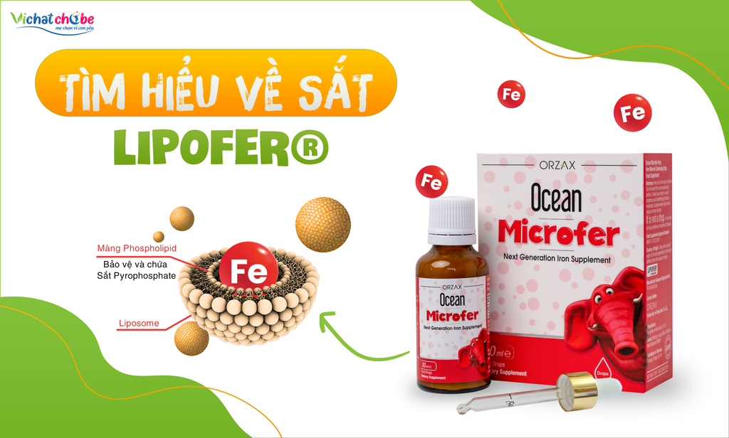 Sắt Lipofer Là Gì? Ưu Điểm Của Sắt Lipofer So Với Dạng Sắt Khác – Orzax Ocean Việt Nam