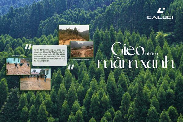 CALUCI TRIỂN KHAI DỰ ÁN "GIEO NHỮNG MẦM XANH"