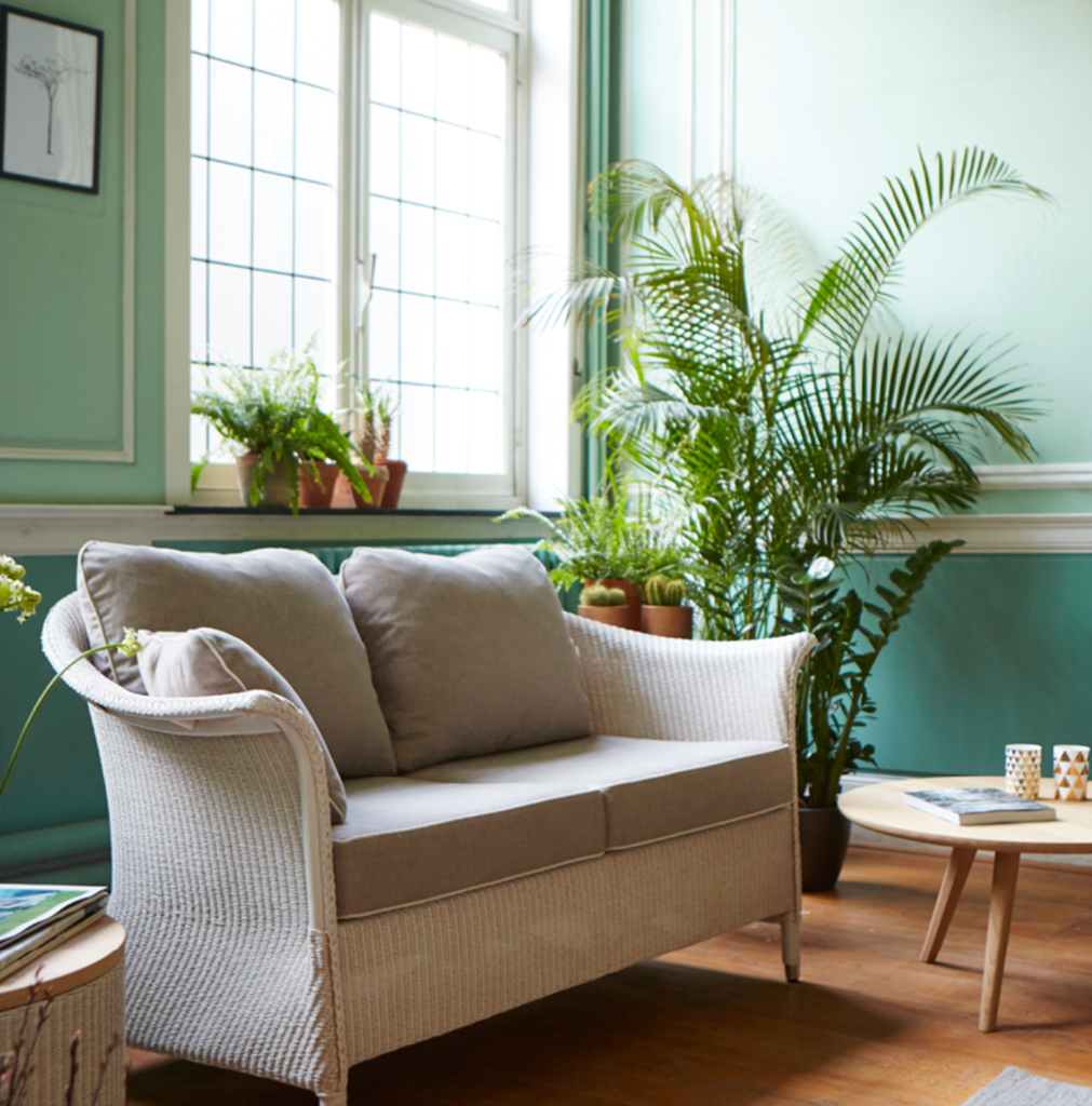 Có nên để sản phẩm mây tre đan trong phòng khách và phòng ngủ – Công ty ...