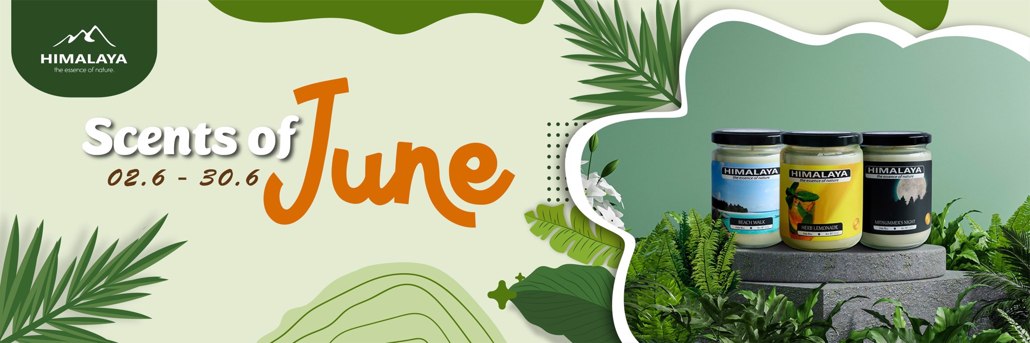 Ý NGHĨA HOA TỬ ĐINH HƯƠNG (LILAC) – HIMALAYA