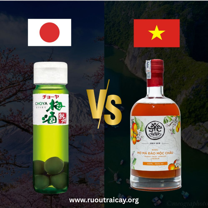 So sánh Rượu Mơ Choya Kishu 720ml vs Rượu Mơ Má Đào Mầm Distillery – Shop Rượu trái cây - Đại lý ...