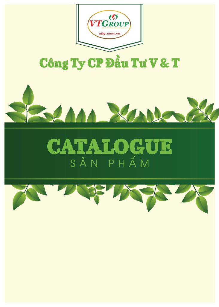 Catalogue – ZILY