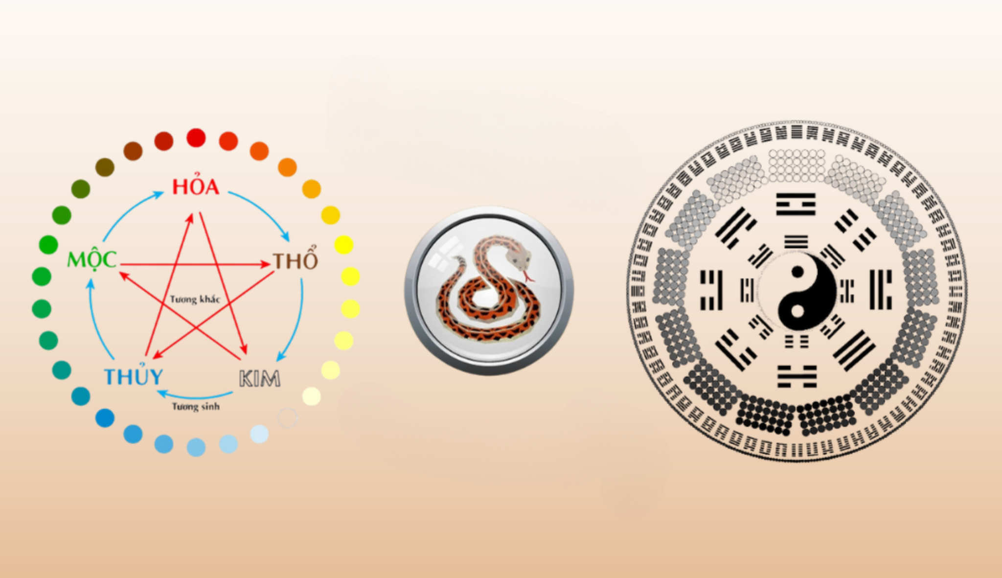 2001 MỆNH GÌ? NHỮNG ĐIỀU NÊN BIẾT VỀ TUỔI TÂN TỴ 2001