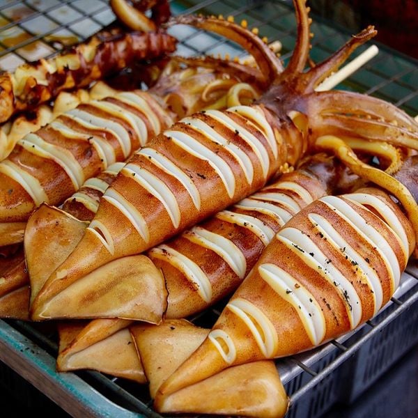 Mực Nháy Là Gì? Sự Thật Về Chất Lượng Mực Nháy Đông Lạnh – Hải Đảo Food