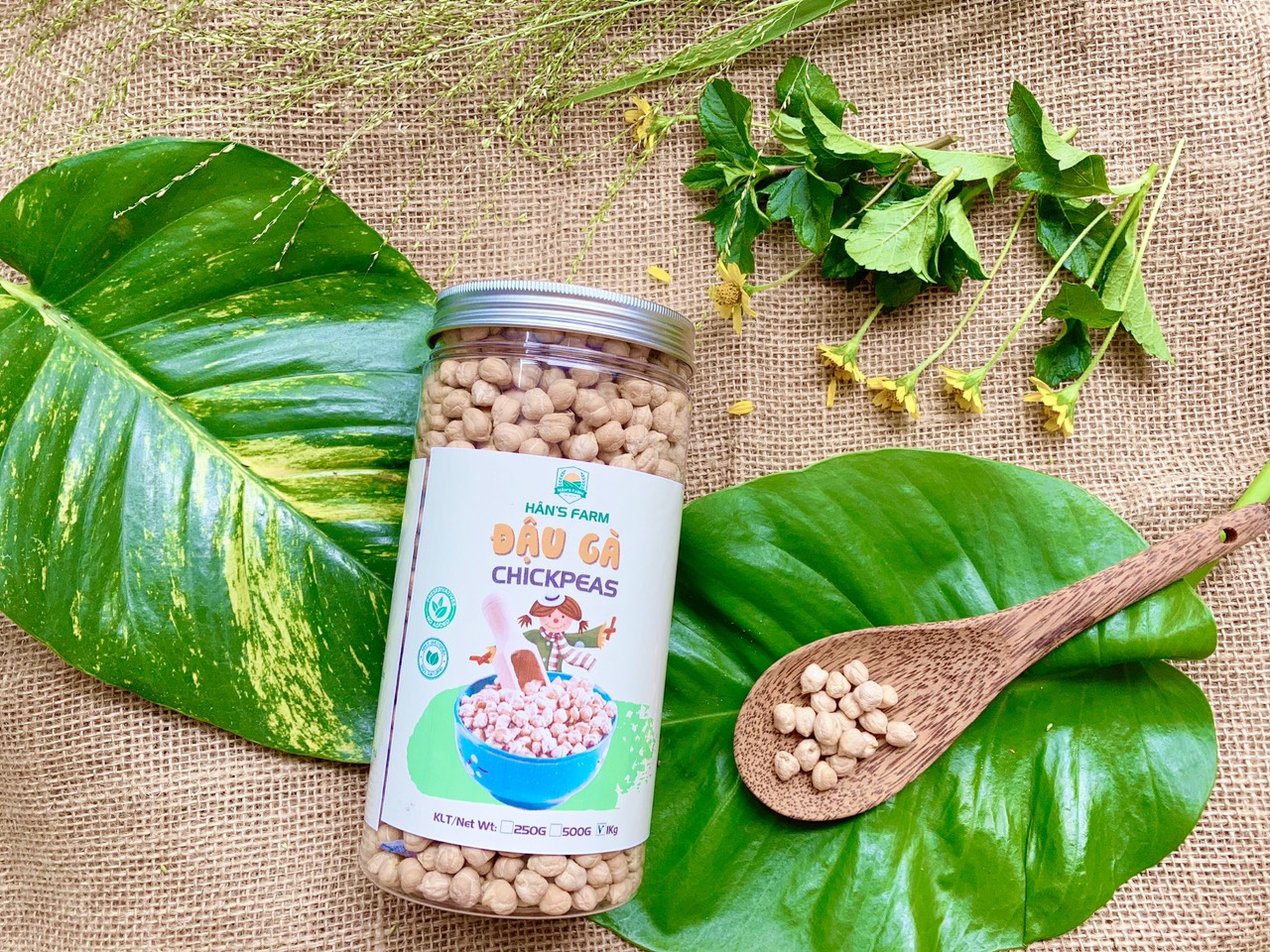 Tác dụng tuyệt vời của đậu gà, bạn đã biết chưa? – HÂN'S FARM