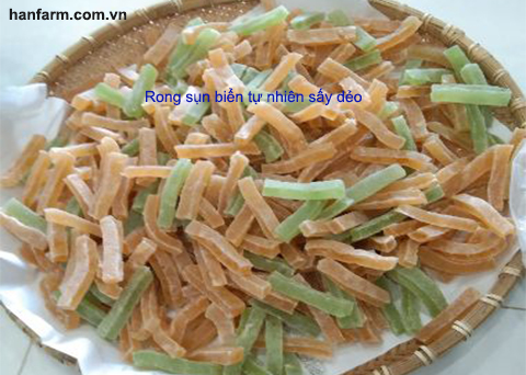 Rong sụn biển và những giá trị tuyệt vời mà nó mang lại cho sức khỏe c ...