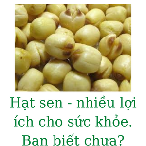 AI MUỐN ĐƯỢC KHEN KHỎE ĐẸP, TÌM HẠT SEN MÀ DÙNG! – youngbackfood