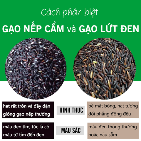 Cách nấu gạo lứt không bị khô và lưu ý khi ăn gạo lứt – Mộc Việt
