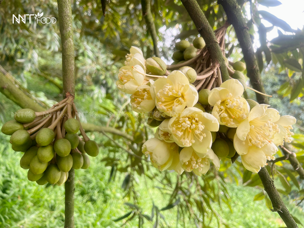 CADIMI - 1 trong 3 kim loại nguy hiểm nhất đối với cơ thể con người ...