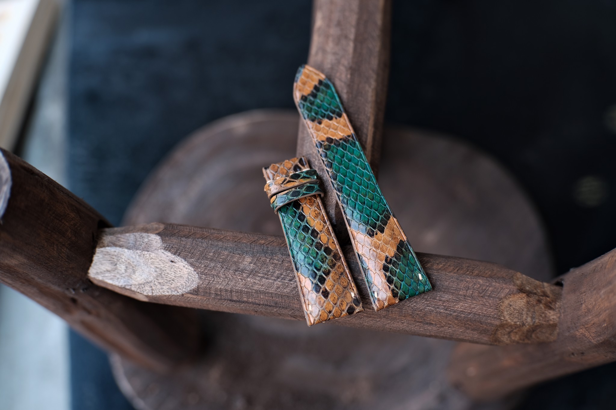 TRĂN RẮN – Bici Leather