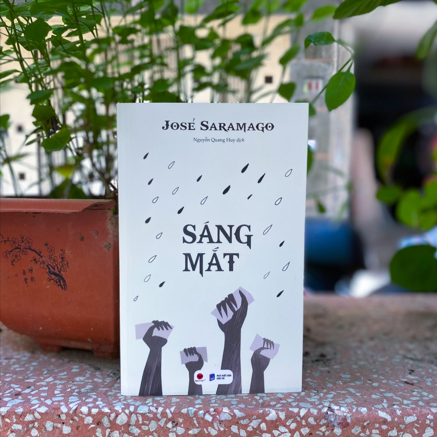 Phát hành "Sáng mắt" của José Saramago – CÔNG TY CỔ PHẦN SÁCH BÁCH VIỆT