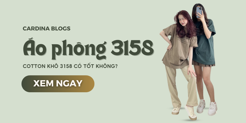 Áo phông 3158 là gì? Cotton khô 3158 có tốt không?