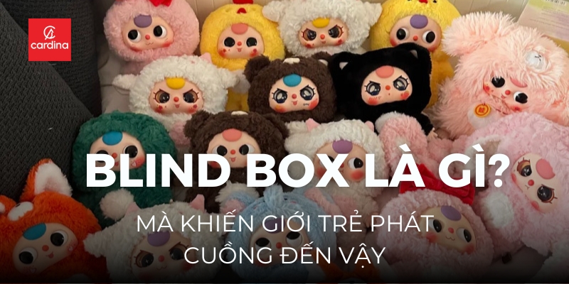 Blind Box Là Gì Mà Khiến Giới Trẻ Phát Cuồng Đến Vậy?
