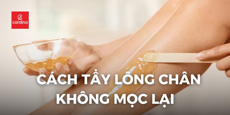 Hé Lộ Sự Thật Và Cách Tẩy Lông Chân Không Mọc Lại Hiệu Quả Nhất 2025