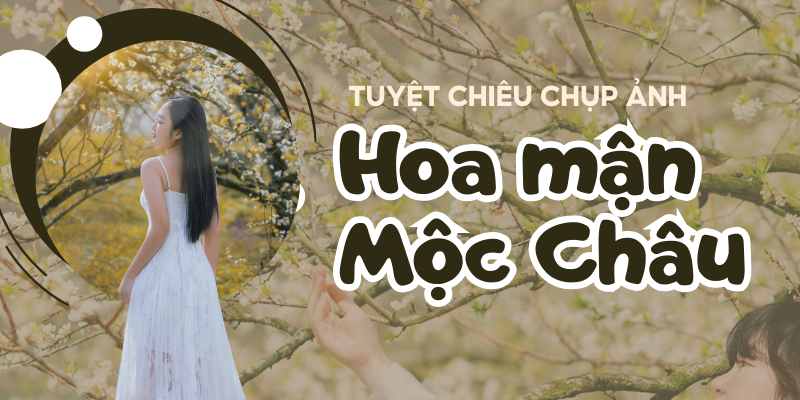 Tuyệt Chiêu Chụp Ảnh Hoa Mận Mộc Châu Đốn Tim Mọi Ánh Nhìn