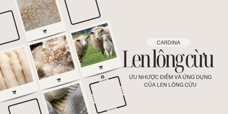 Len lông cừu là gì? Ưu nhược điểm và ứng dụng của len lông cừu – Cardina